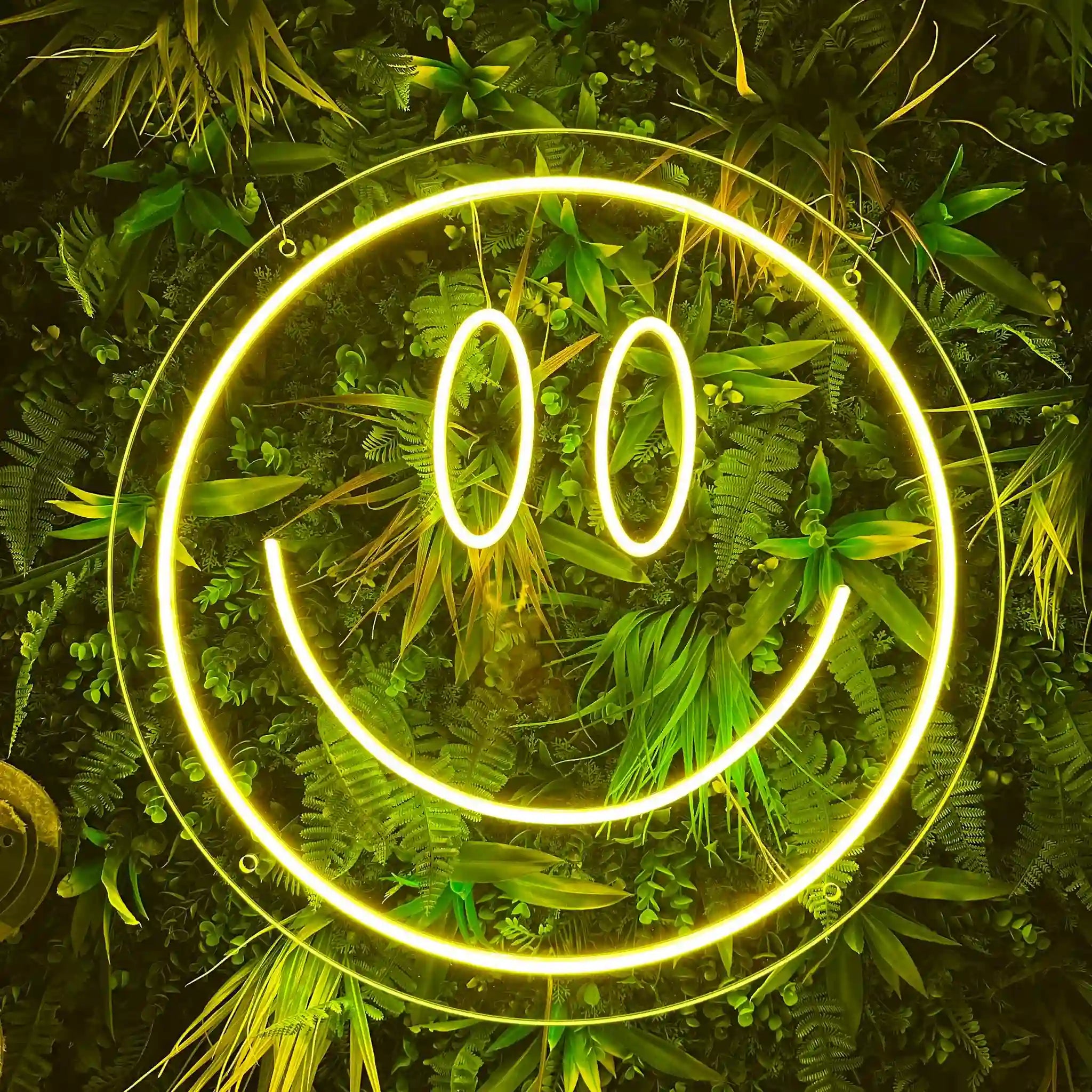 Néon Smiley | Studio Néon