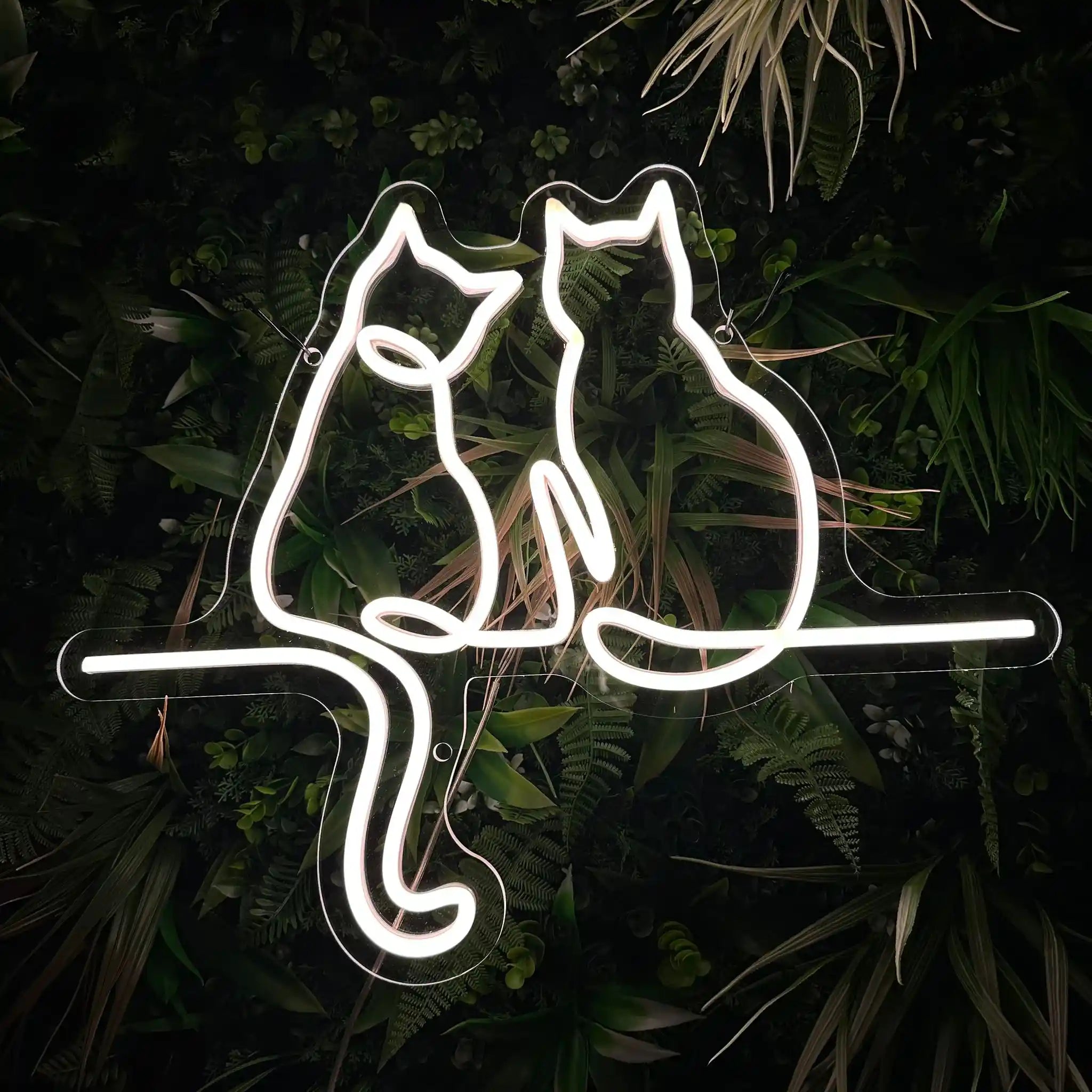 Néon Chat | Studio Néon